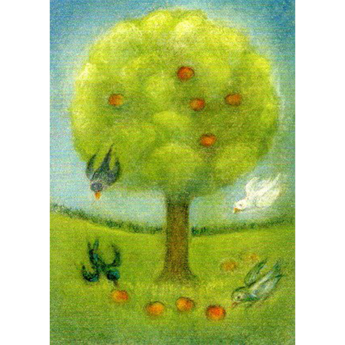 Apple Tree with Birds Postcard by Ruth Elsasser - 4-1/8" x 5-13/16 ...